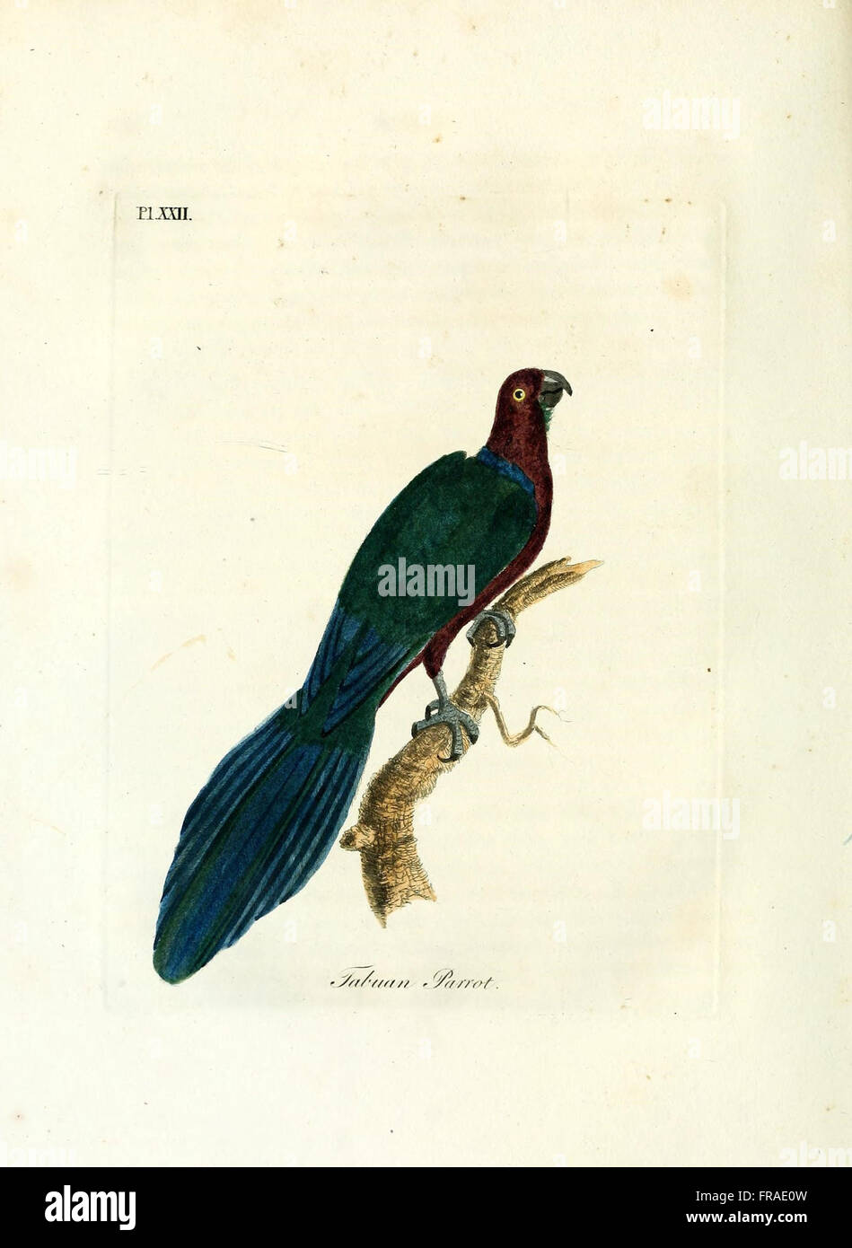 Xxii general hi-res stock photography and images - Alamy