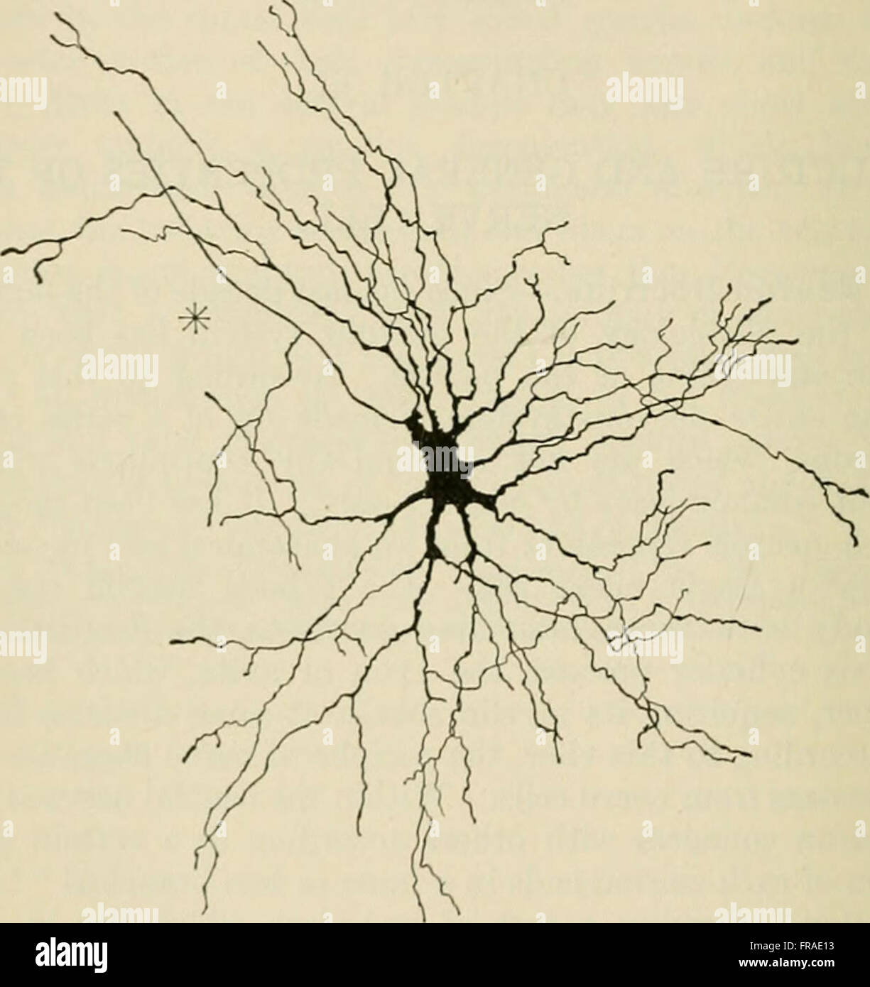 A text-book of physiology, for medical students and physicians (1907 ...