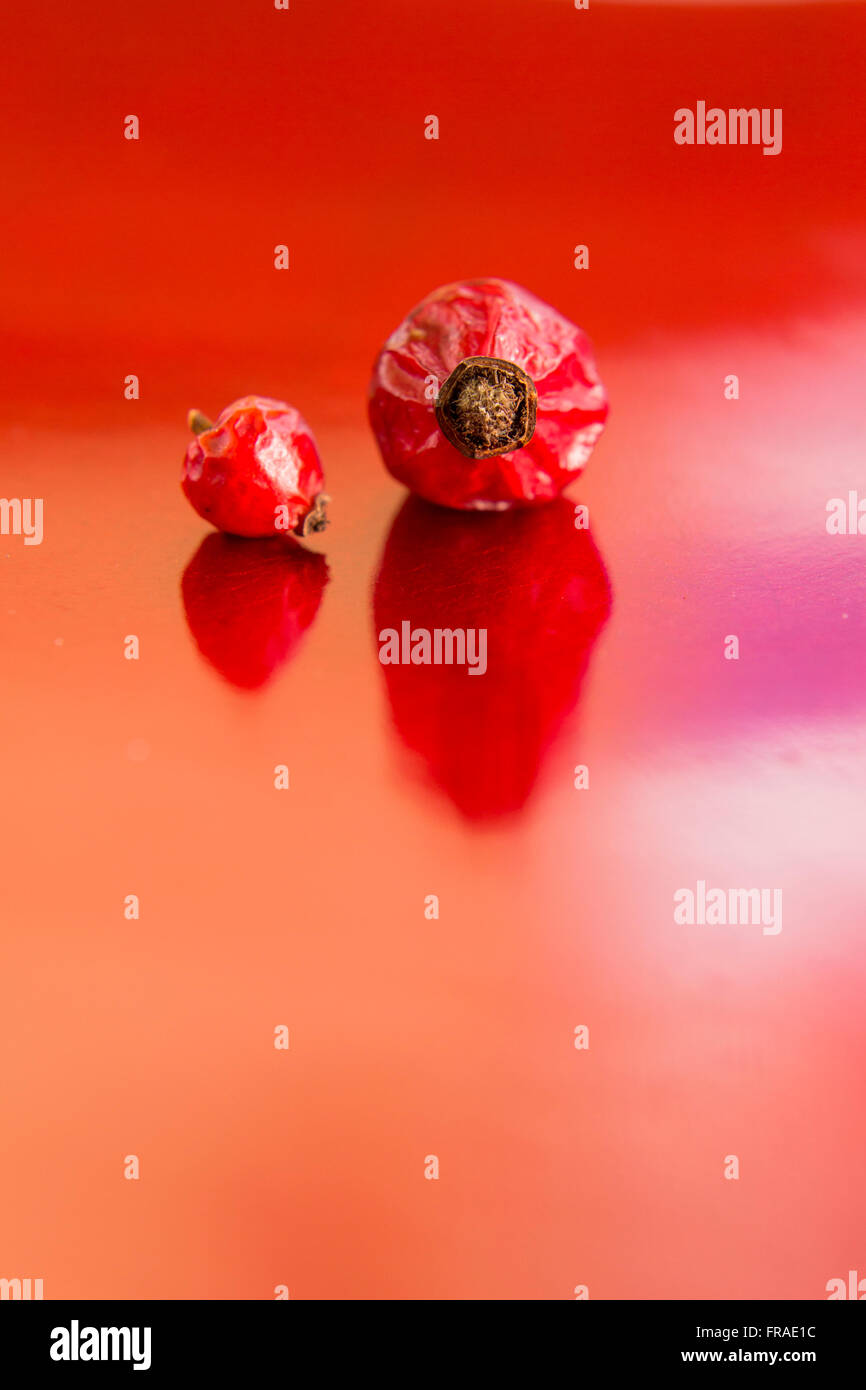 Dried hips of dog rose on red background Stock Photo - Alamy