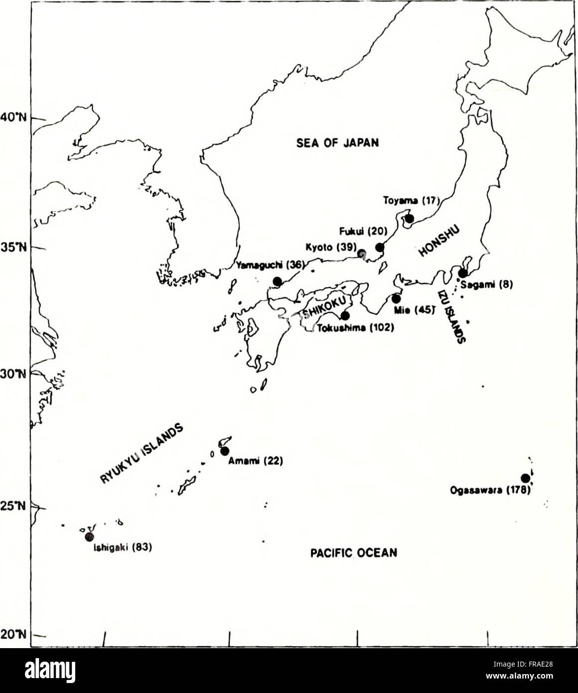 American malacological bulletin (1996 Stock Photo - Alamy