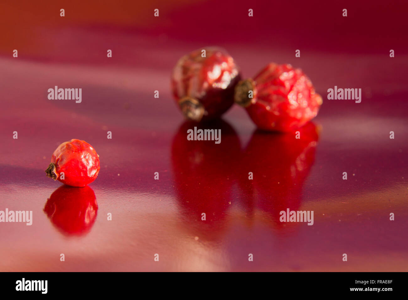 Dried hips of dog rose on red background Stock Photo - Alamy