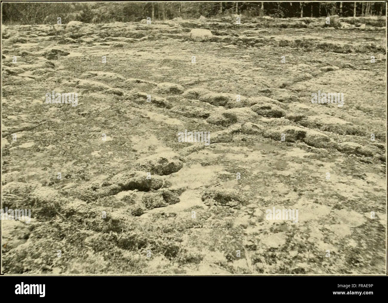 This journal presents research conducted by the Finnish Society for ...