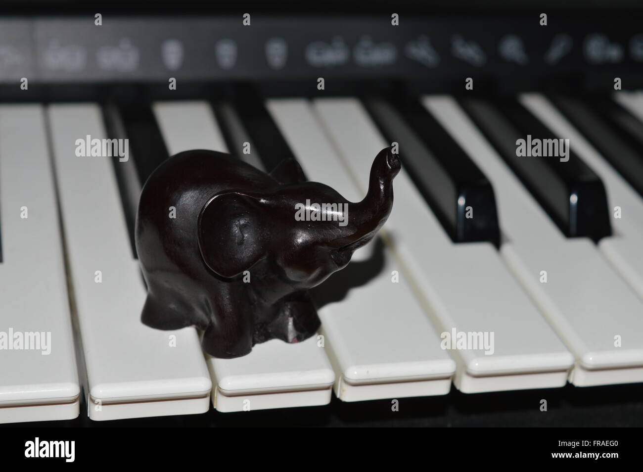 Elephant on Keyboard Stock Photo - Alamy
