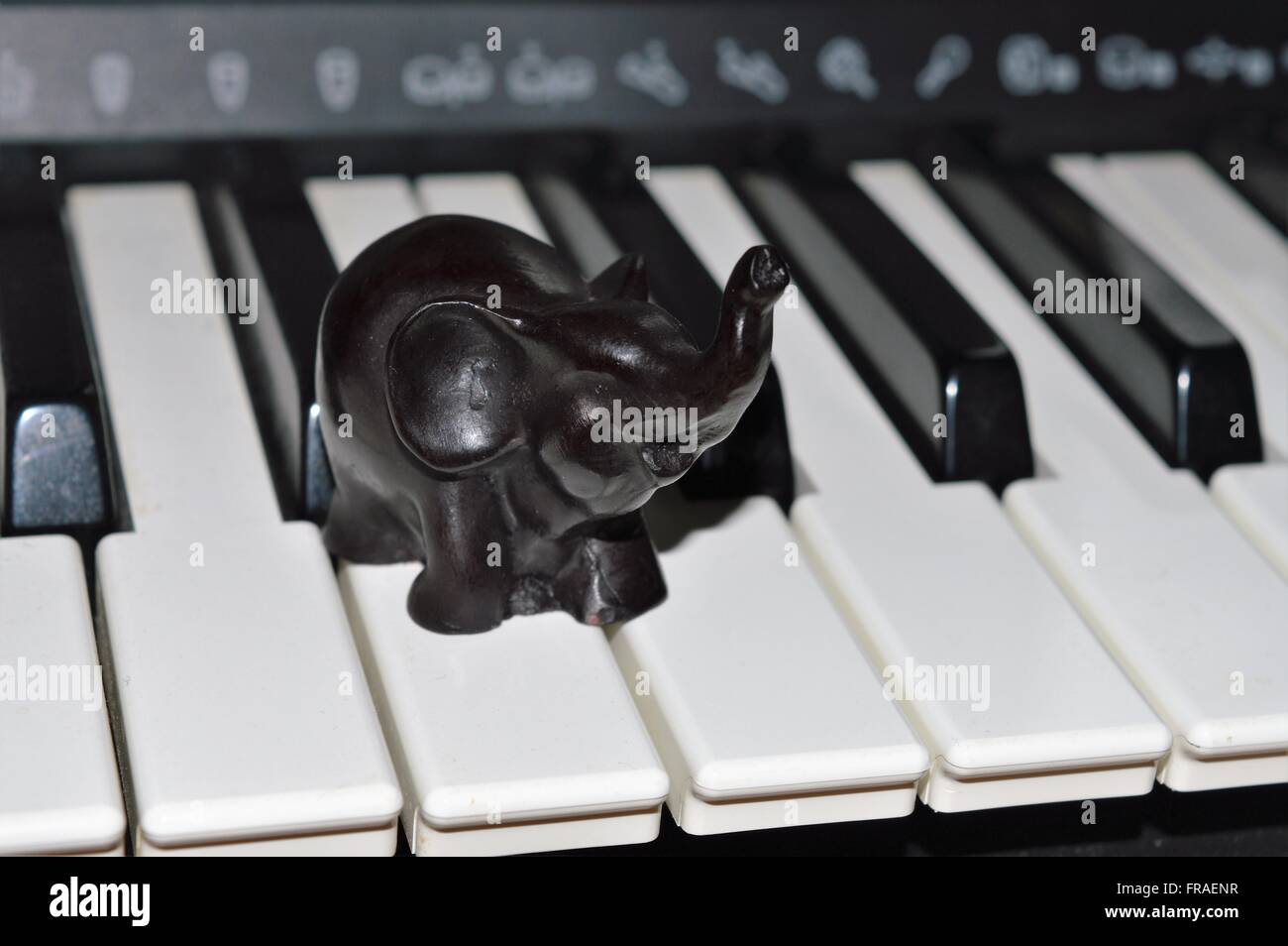 Elephant on Keyboard Stock Photo - Alamy