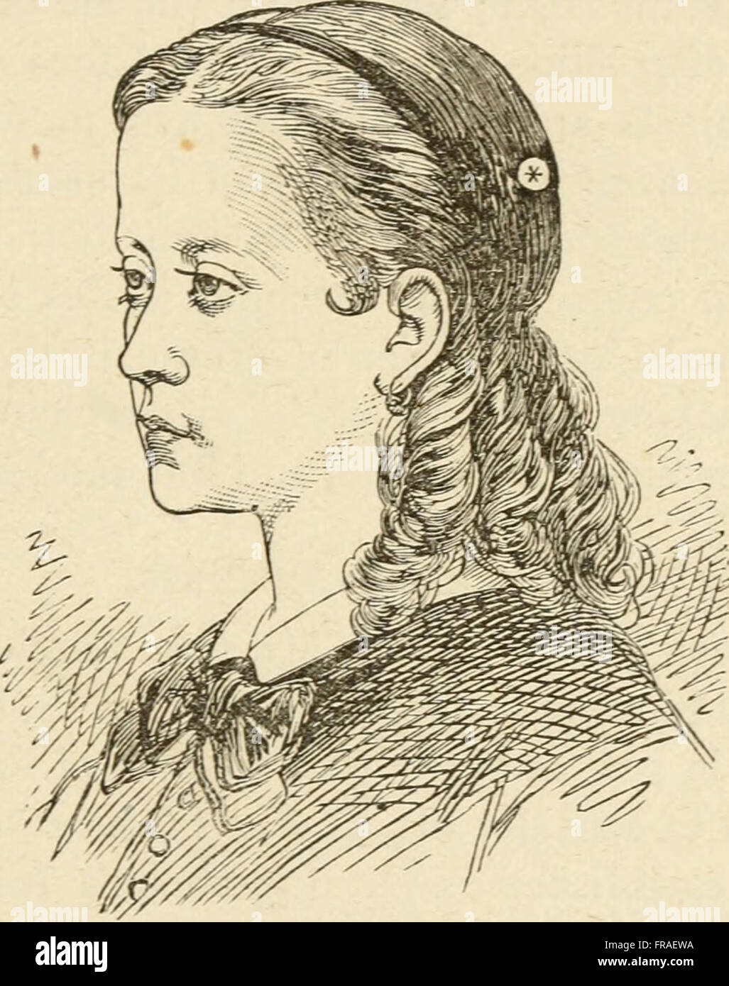 Modern brain ancient brain hi-res stock photography and images - Alamy