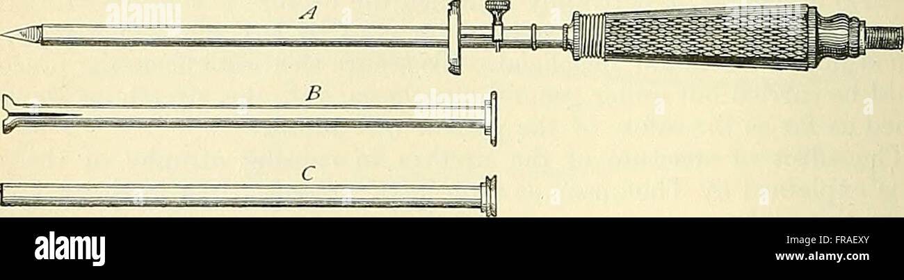 An American Text-Book of Genito-Urinary Diseases, Syphilis and Diseases ...