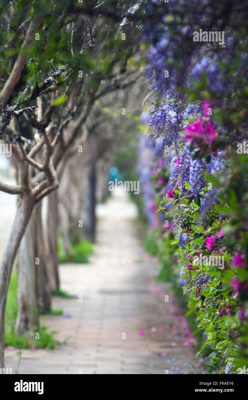 Rio florida hi-res stock photography and images - Alamy