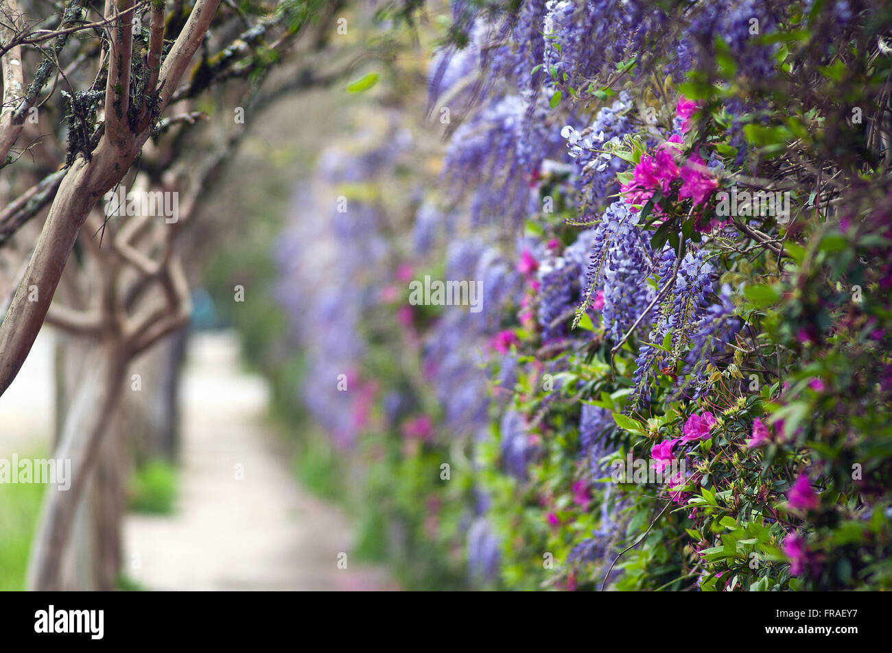 Rio florida hi-res stock photography and images - Alamy
