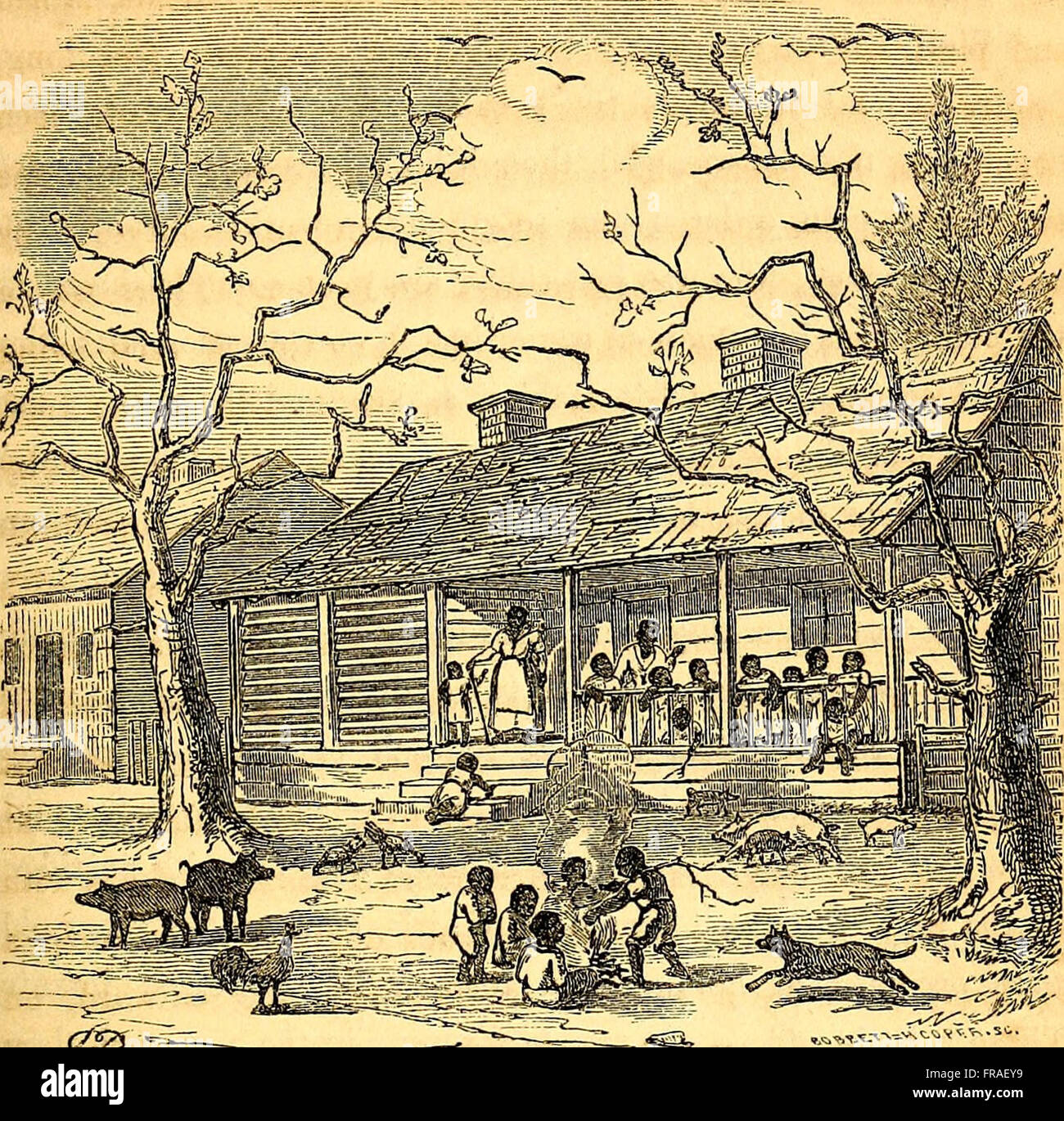 This 1856 book chronicles a journey through the slave states of the U.S ...