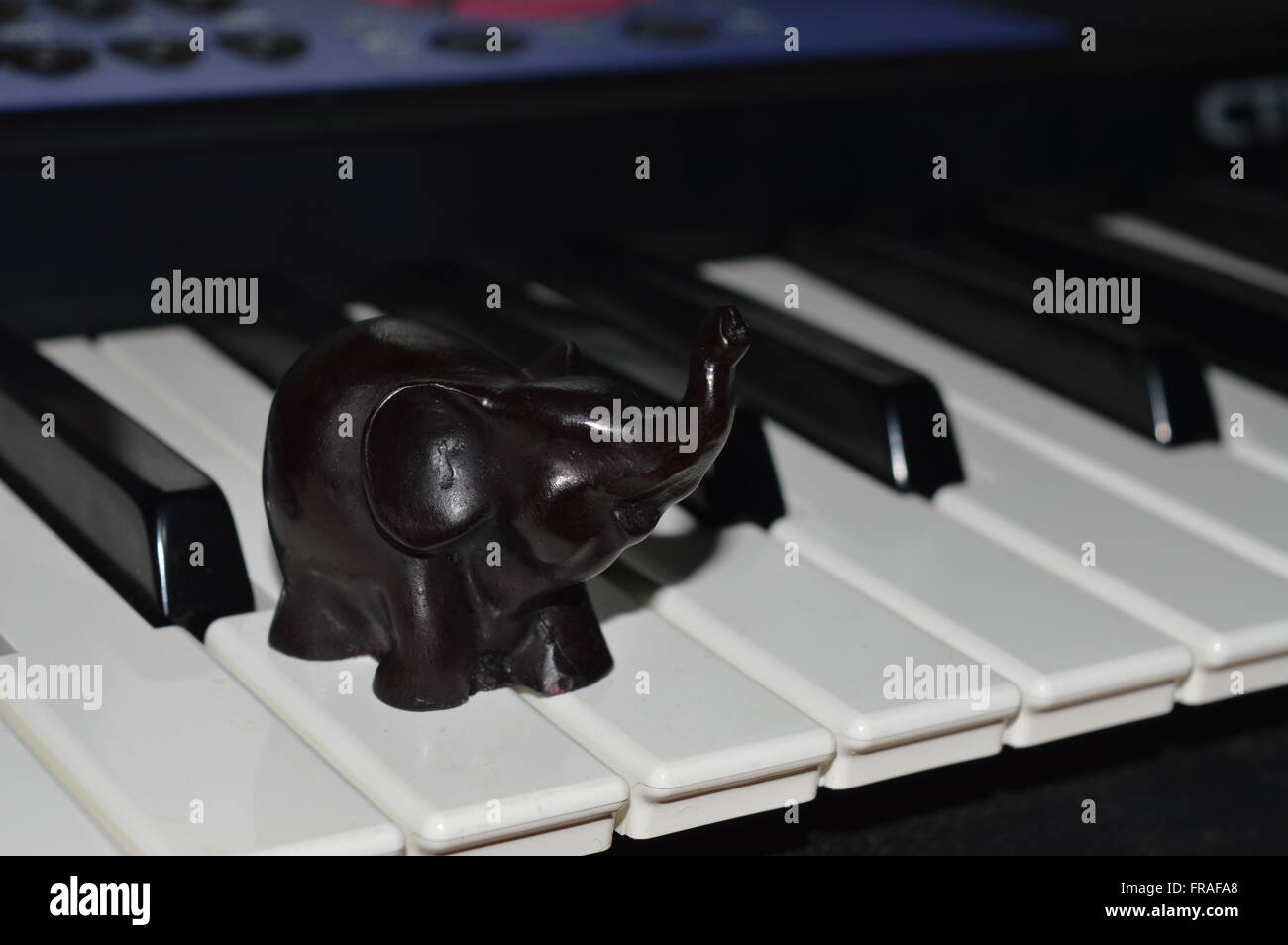 Elephant on Keyboard Stock Photo - Alamy