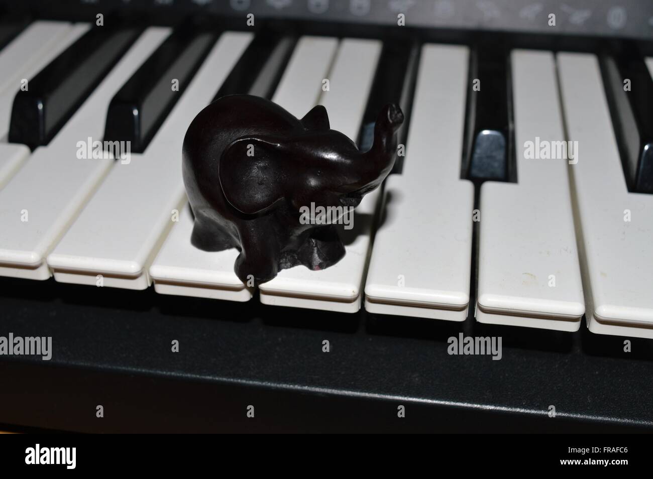 Elephant on Keyboard Stock Photo - Alamy