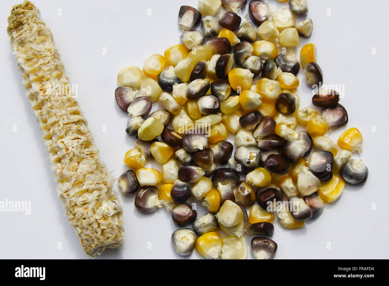 Zea maize hi-res stock photography and images - Alamy