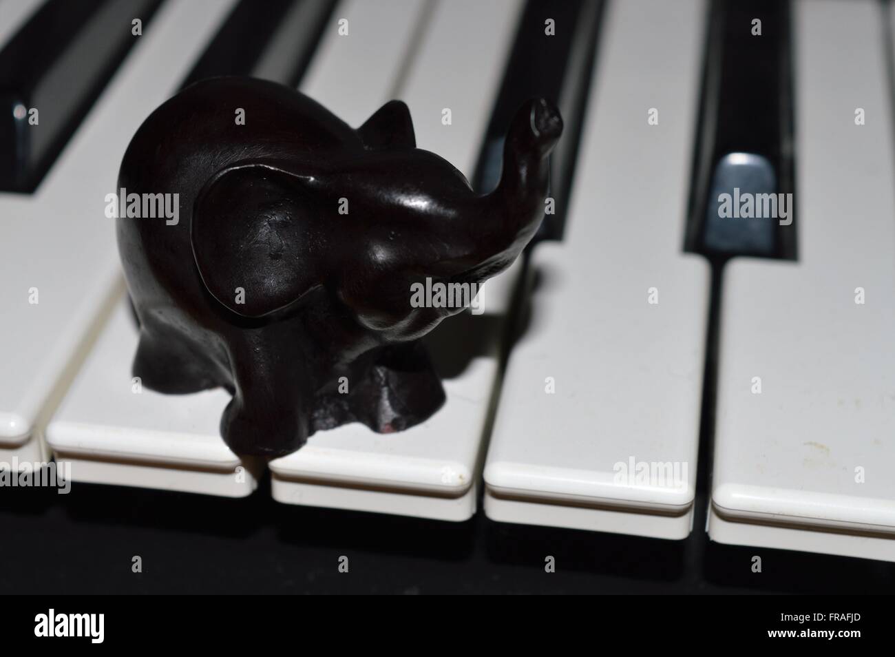 Elephant on Keyboard Stock Photo - Alamy