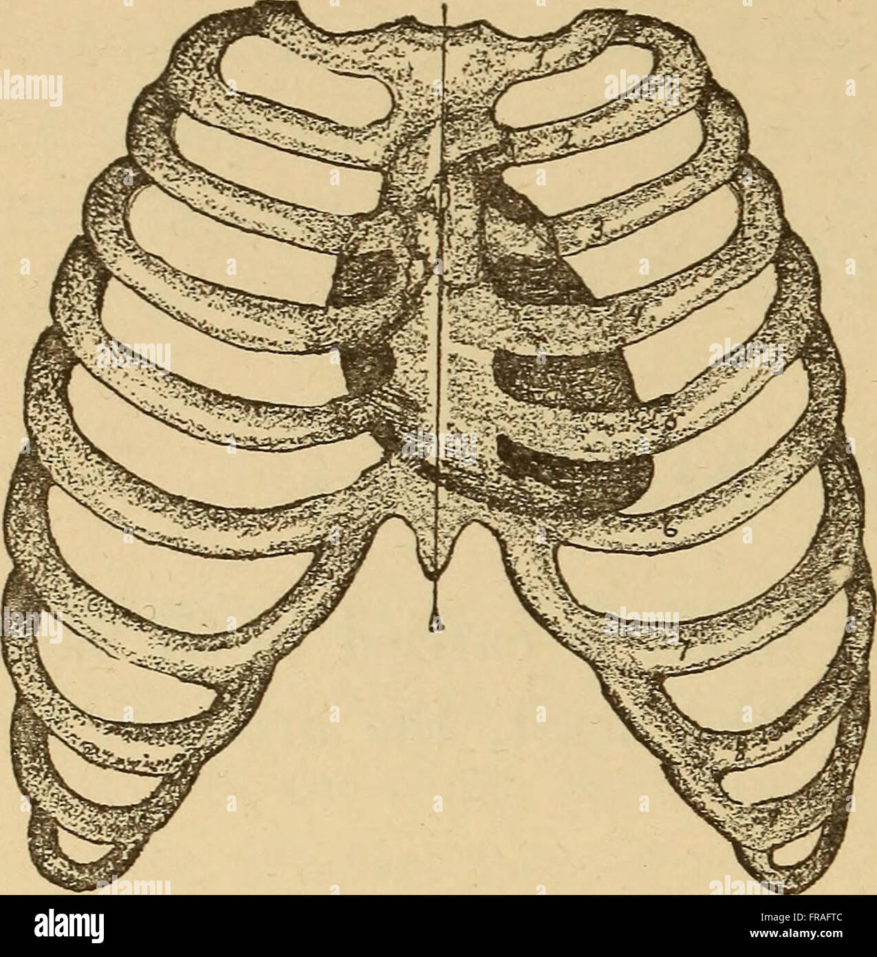 A healthy body. A textbook on anatomy, physiology, hygiene, alcohol ...