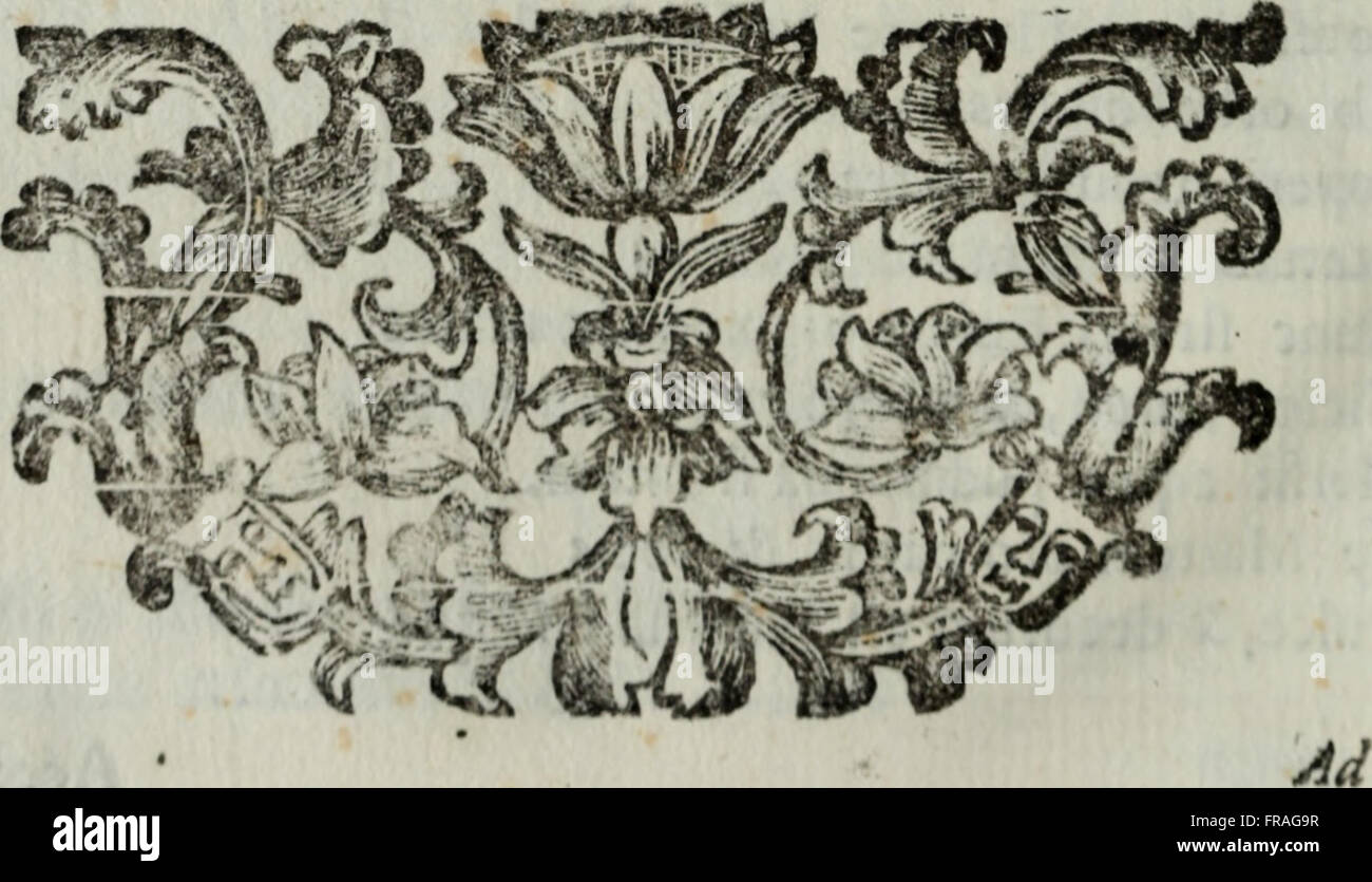 Old pinacotheca hi-res stock photography and images - Alamy