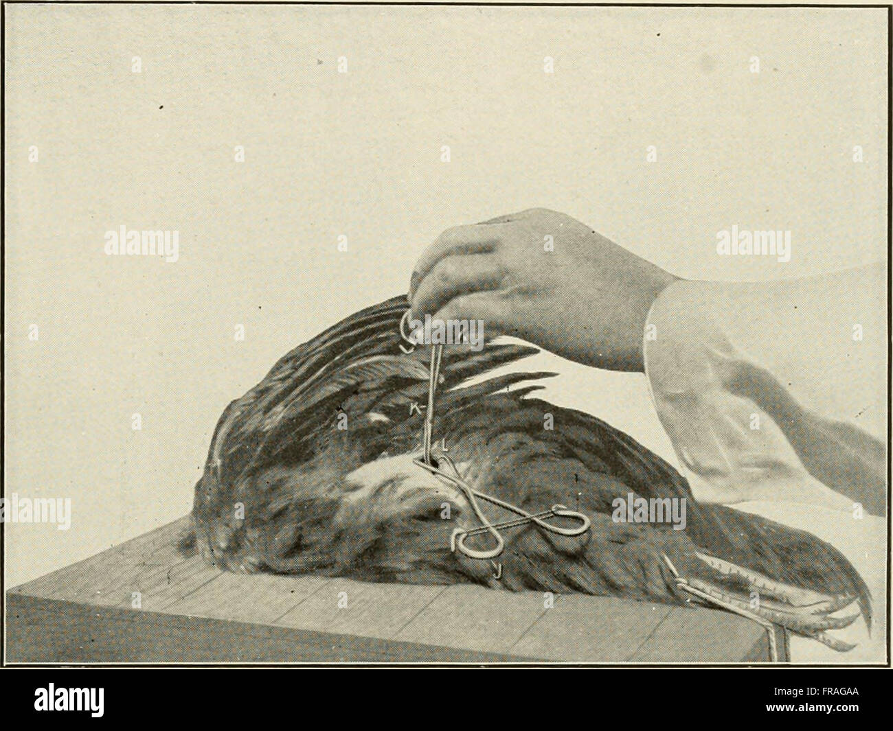 This 1914 medical text provides detailed information on the practice of ...