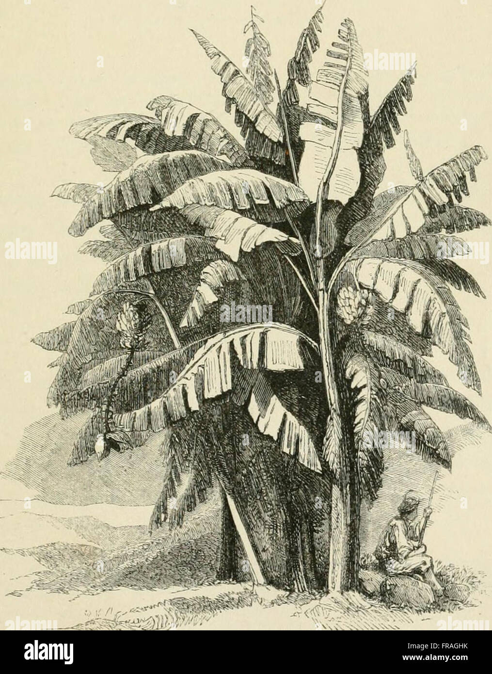 A Sketch of Madeira (1851) provides practical information for travelers ...