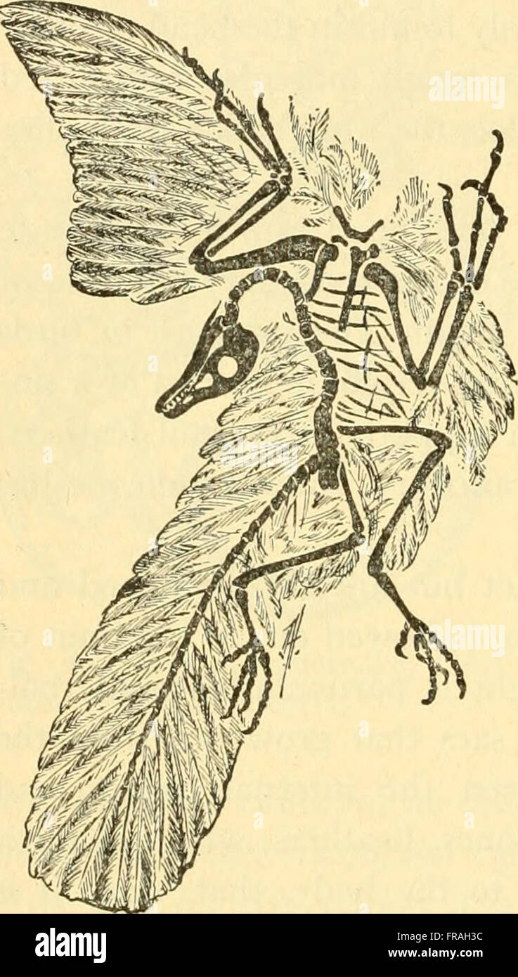 'Biology of the Vertebrates' provides a comparative study of humans and ...
