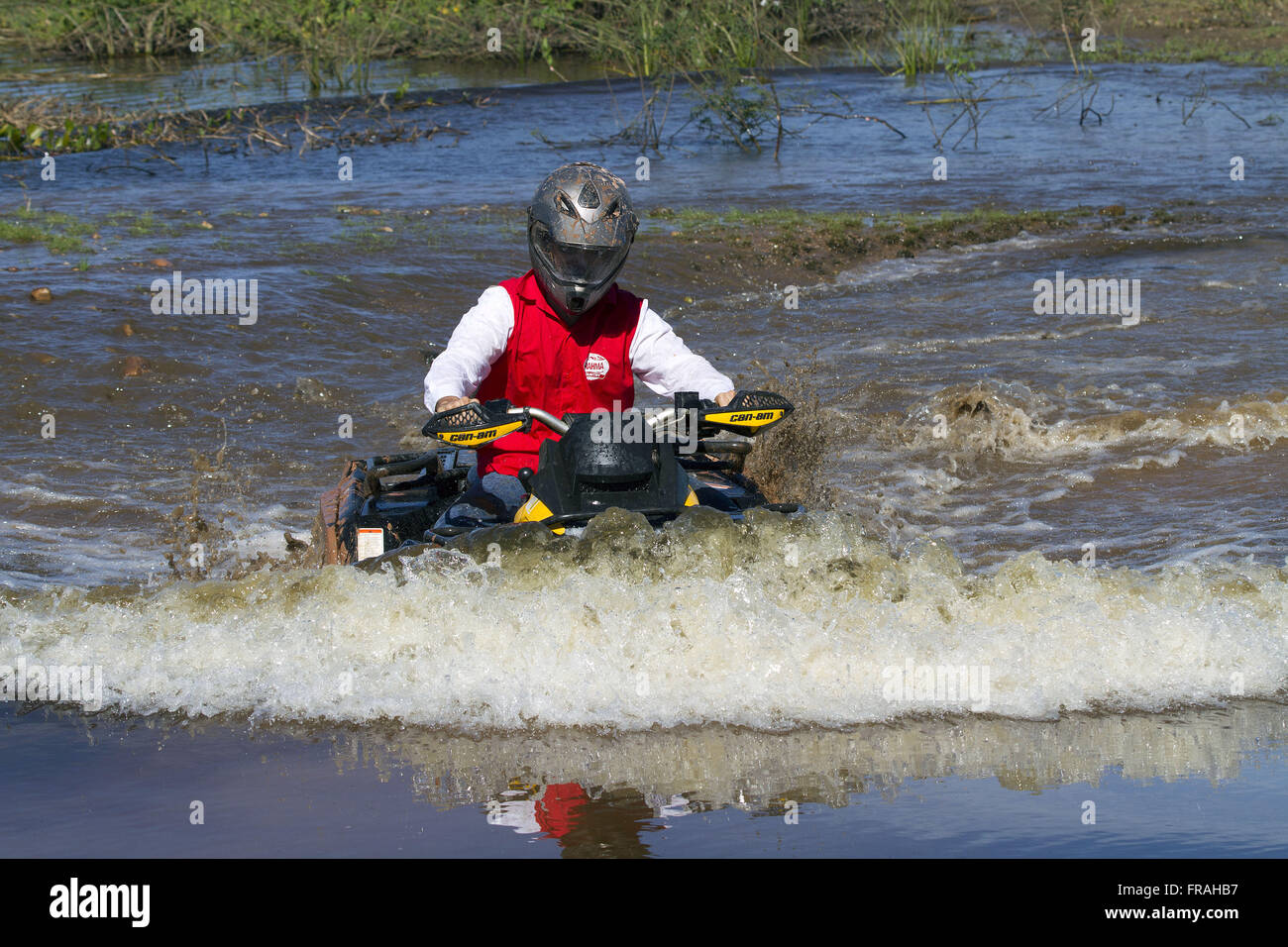 Corixo hi-res stock photography and images - Alamy