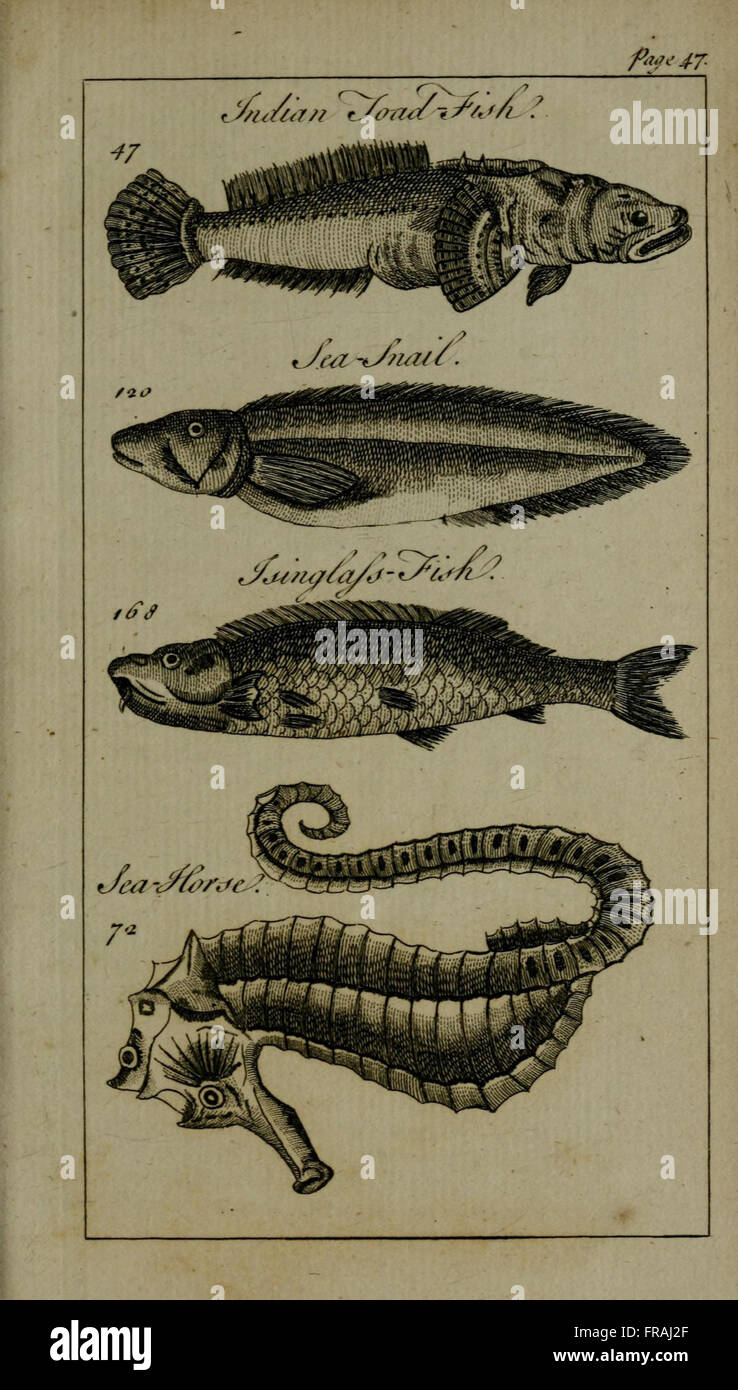 An illustration from a work presenting a new and precise system for ...