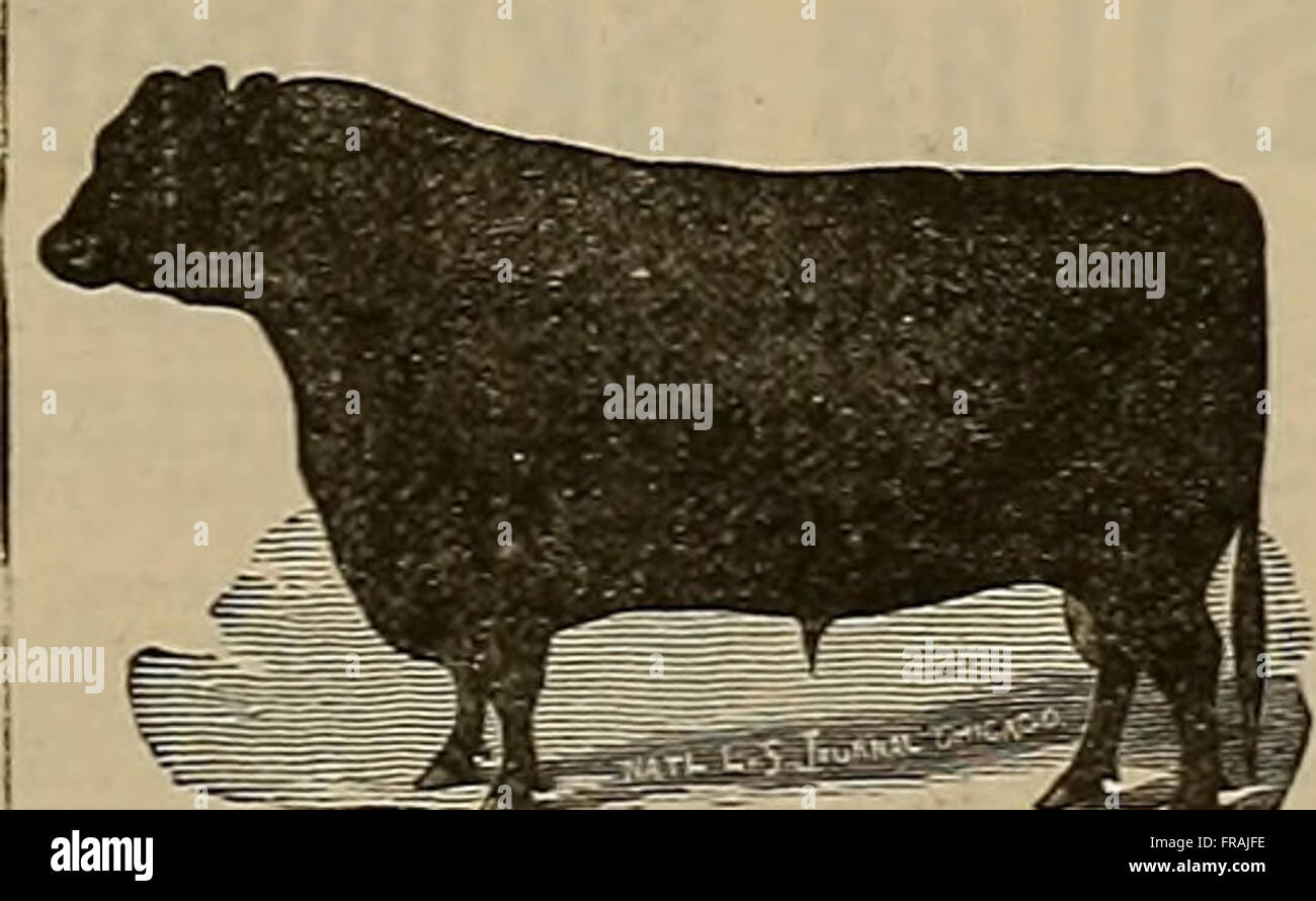 Breeder and sportsman (1891 Stock Photo - Alamy