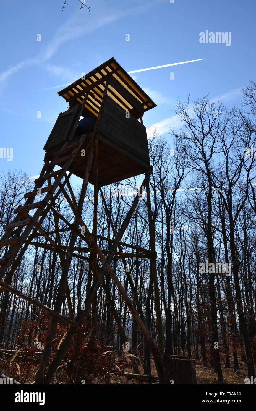High and hunters seat in the forest hi-res stock photography and images ...
