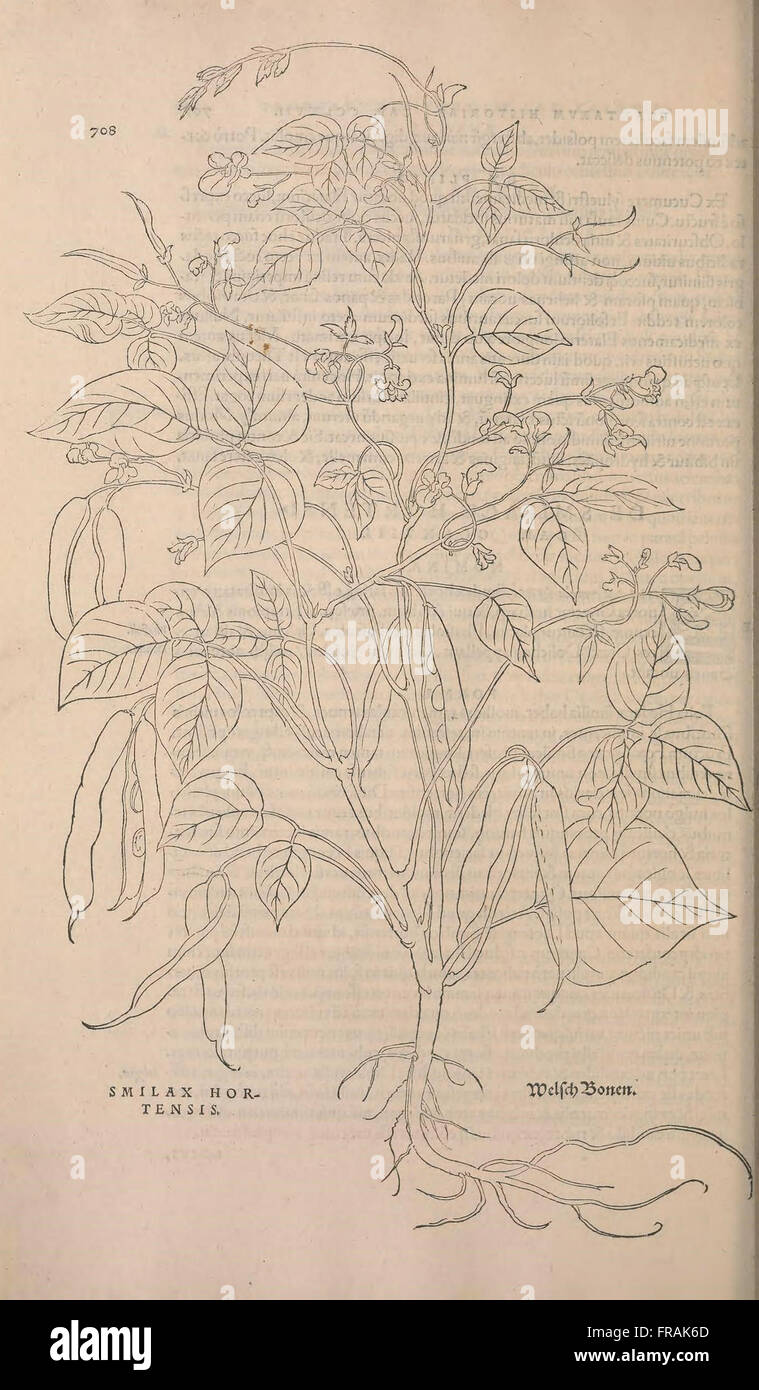 708 pages hi-res stock photography and images - Alamy