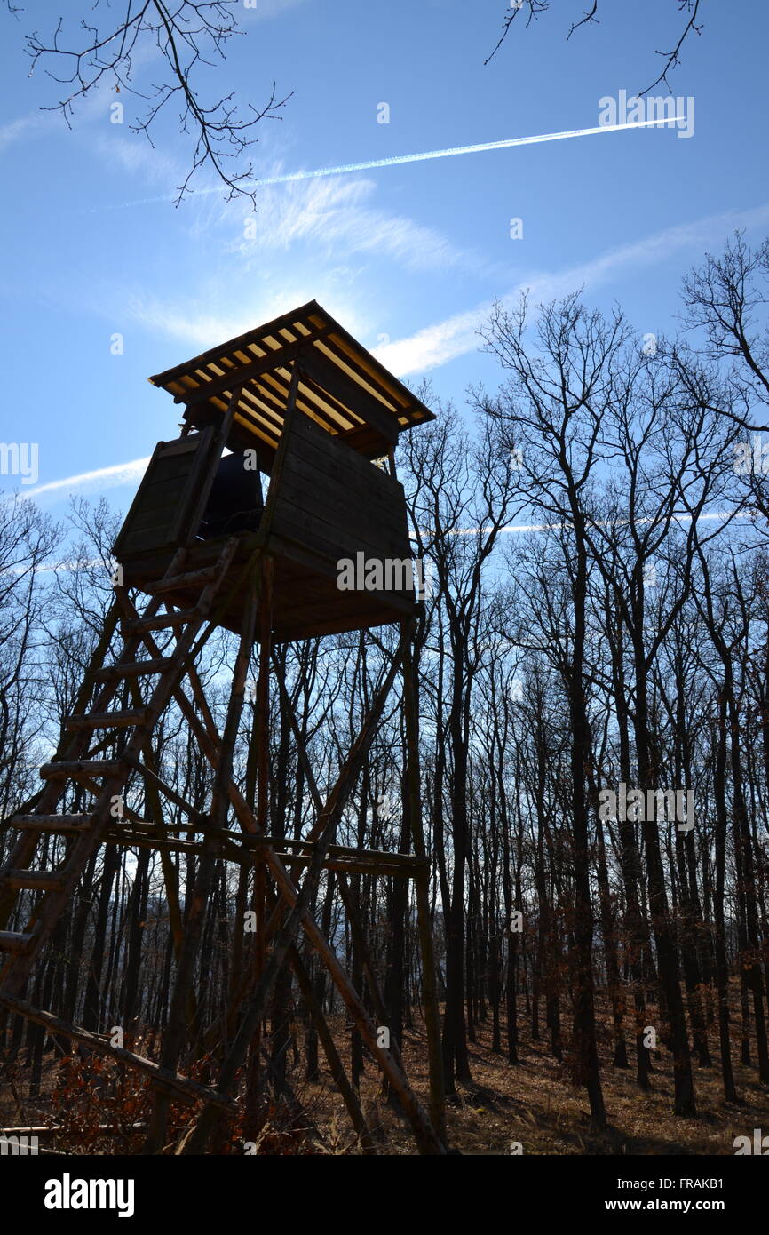Wooden hunters high seat hide in forest with blue sky Stock Photo - Alamy