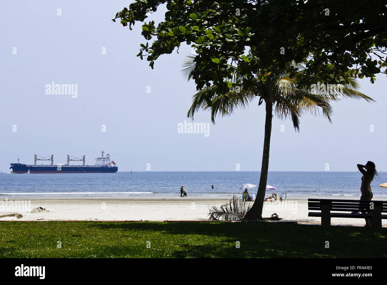 Shade tree in the garden of the beachfront with cargo ship at sea in ...