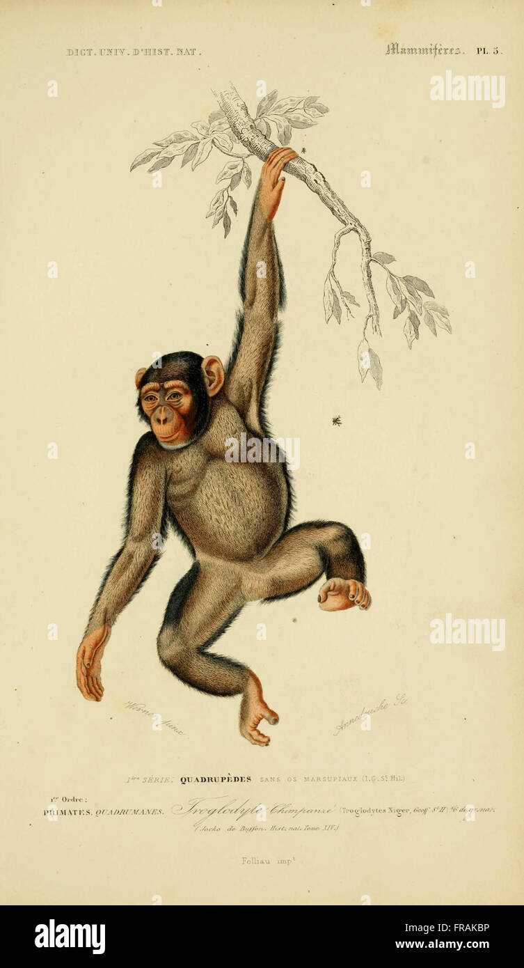 A section from the Universal Dictionary of Natural History, focusing on ...