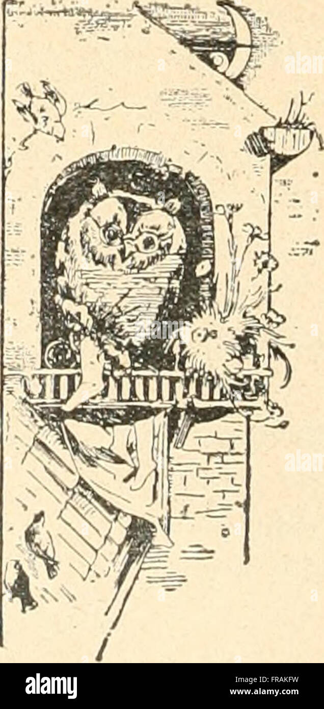 'Der Ornithologische Beobachter' from 1902 is a German-language journal ...