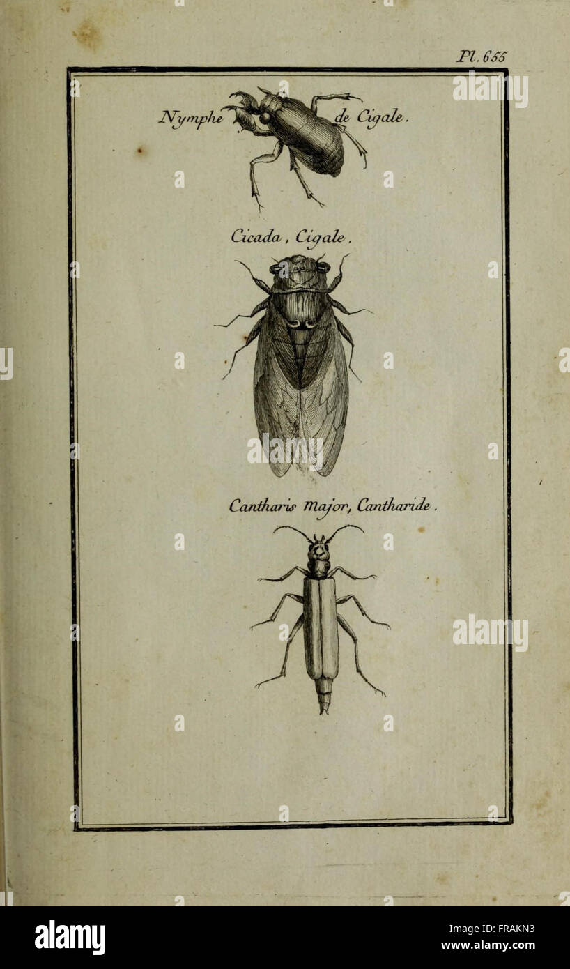 Description, vertus et usages de sept cents dix-neuf plantes (Plate 655 ...