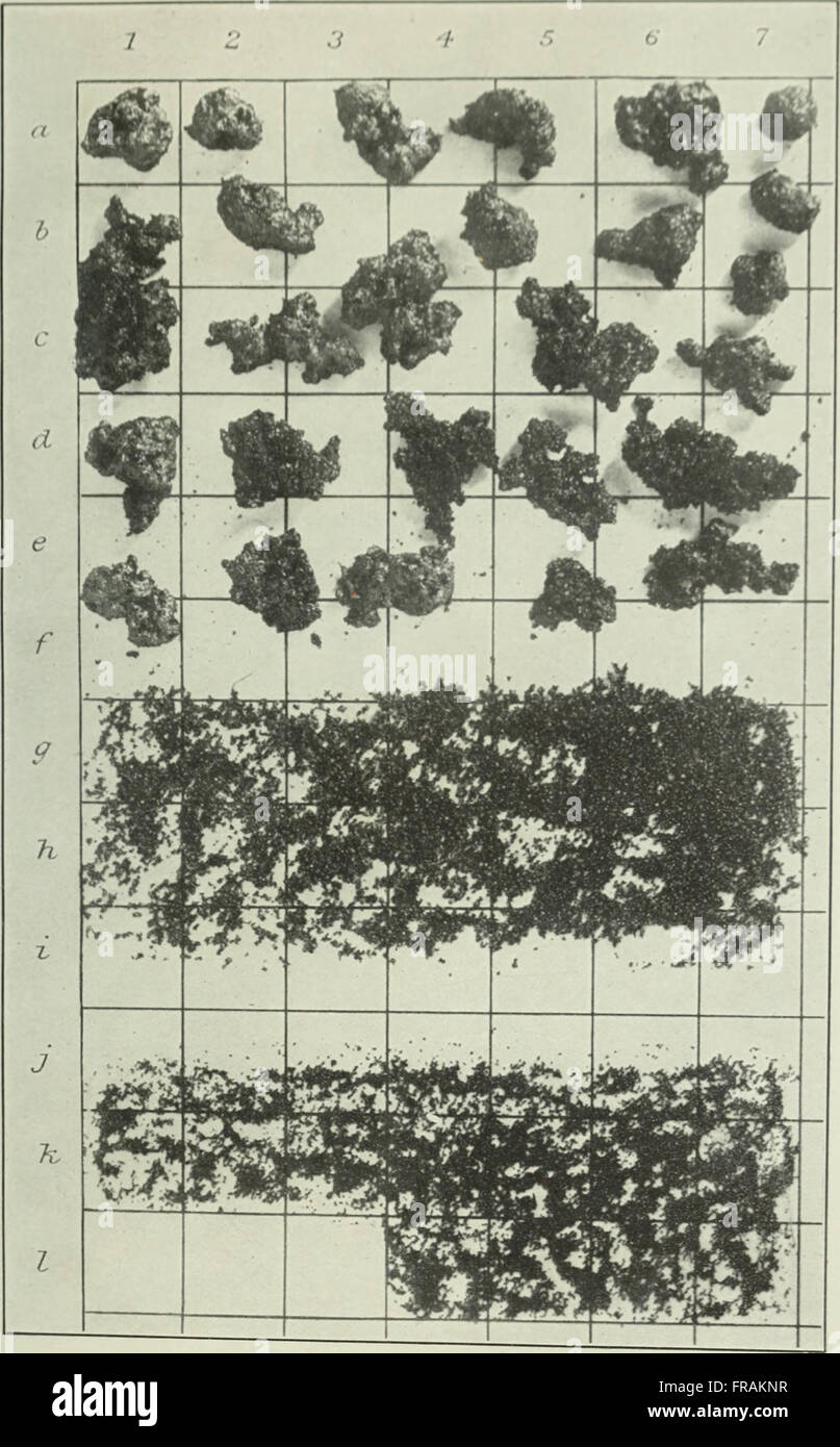 The 1910 Bulletin is a periodical documenting various scientific ...