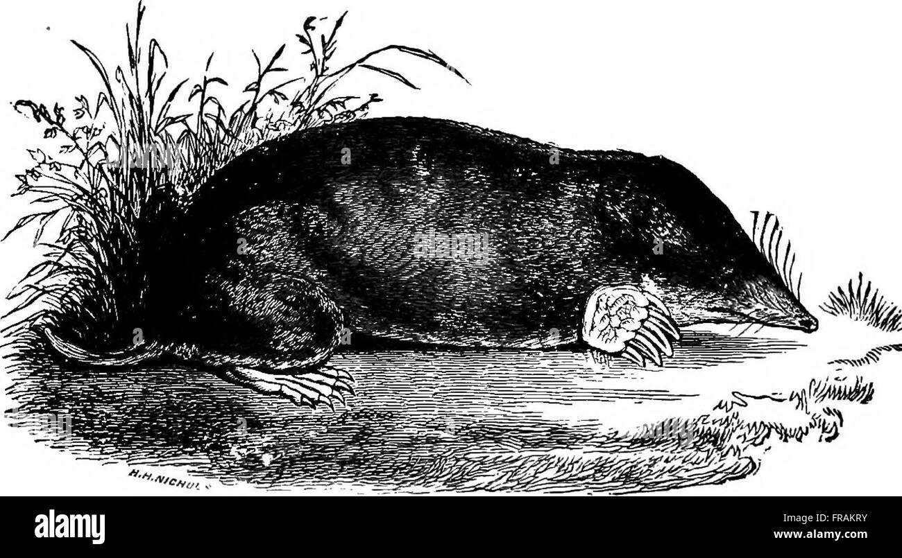 This 1894 zoology textbook introduces basic concepts of animal biology ...
