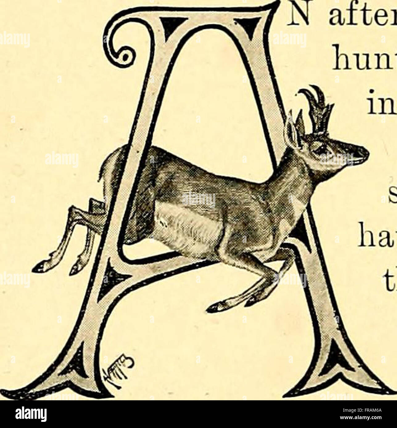 Four footed americans hi-res stock photography and images - Alamy