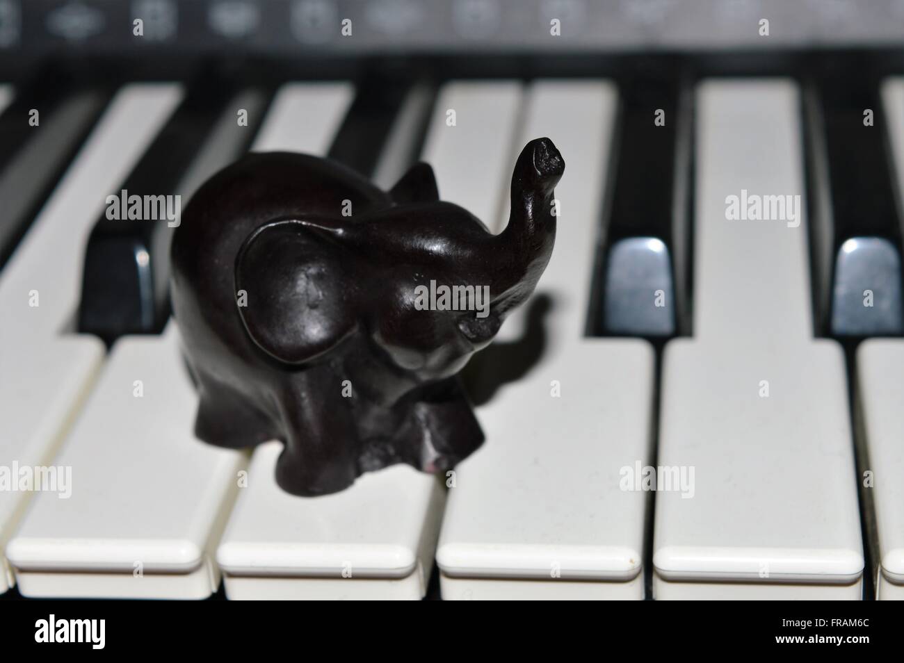 Elephant on Keyboard Stock Photo - Alamy