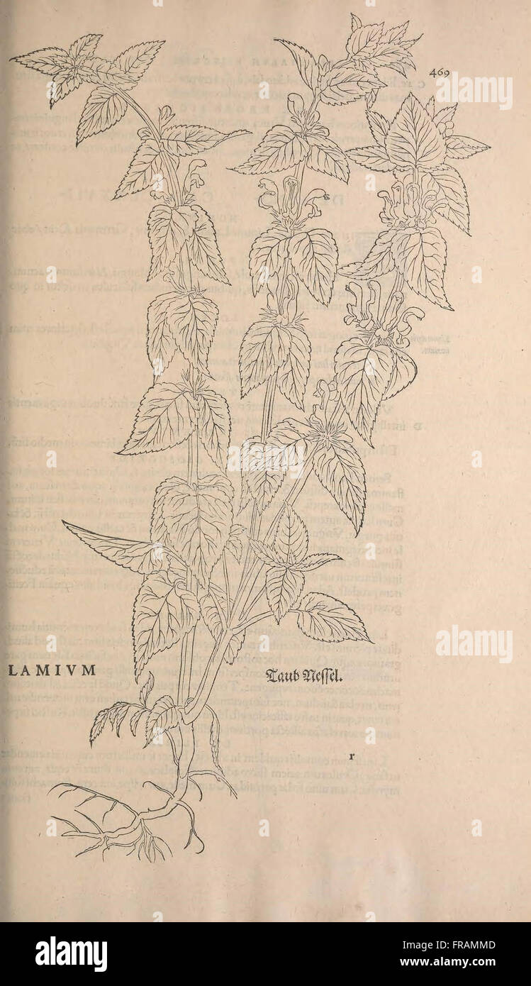 This work provides detailed commentaries on the history of plants, with ...