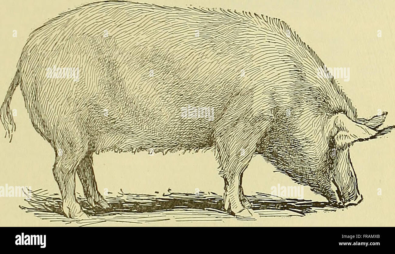 This 1922 reference work provides a detailed guide to various farm ...