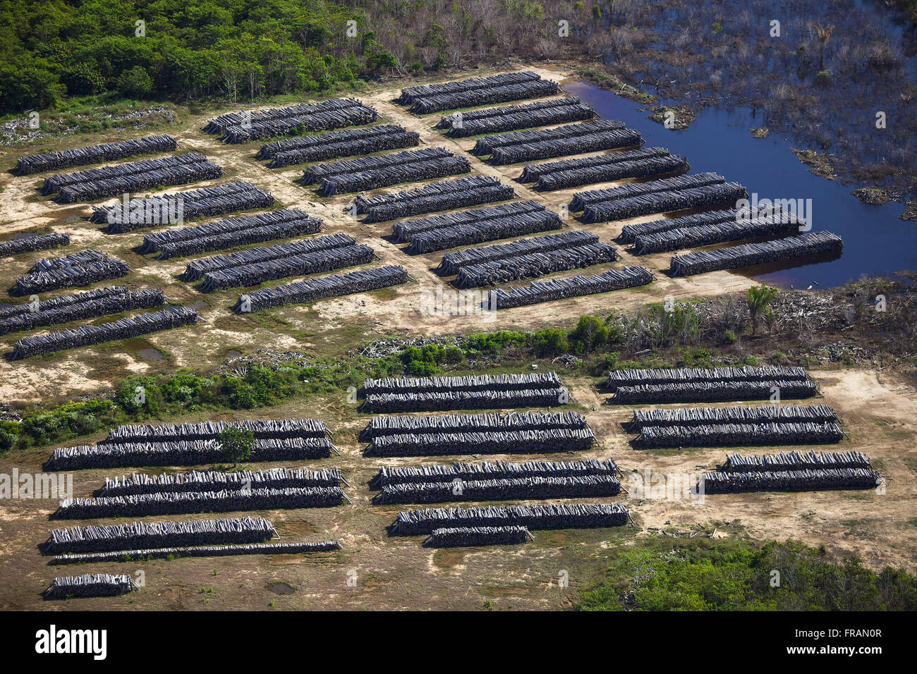 Deposit of cut tree trunks of flooded forest Stock Photo - Alamy