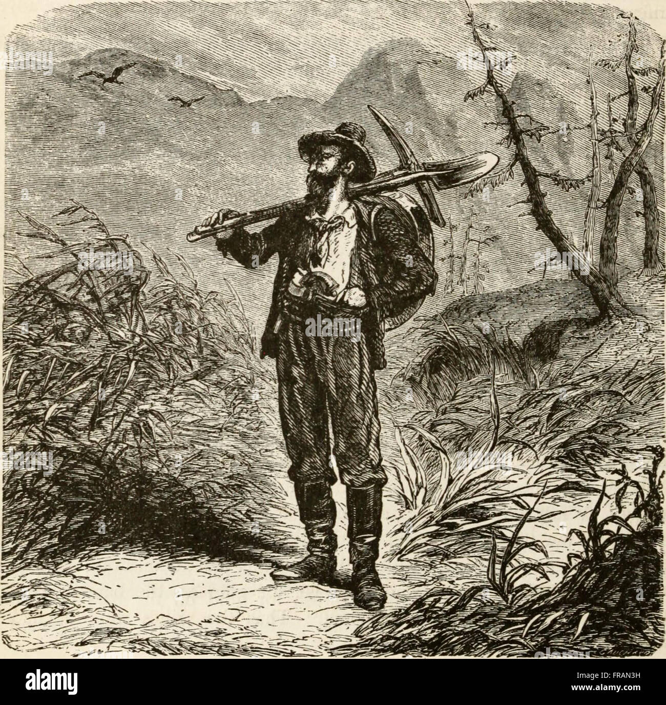 The Industrial History of the United States surveys the development of ...