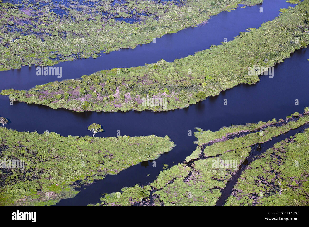 Aerial view of the encounter between the Paraguay River and the Rio ...