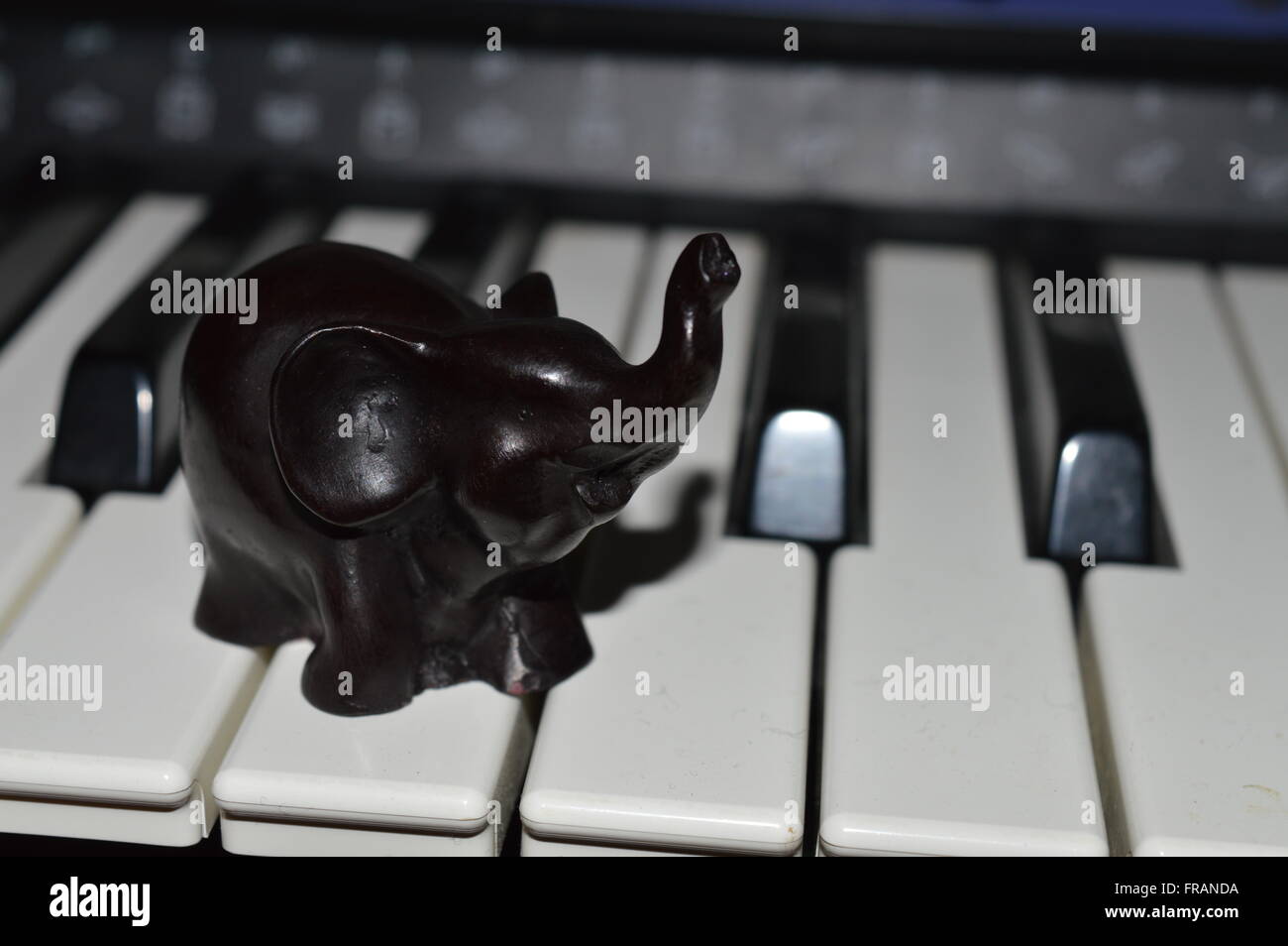 Elephant on Keyboard Stock Photo - Alamy