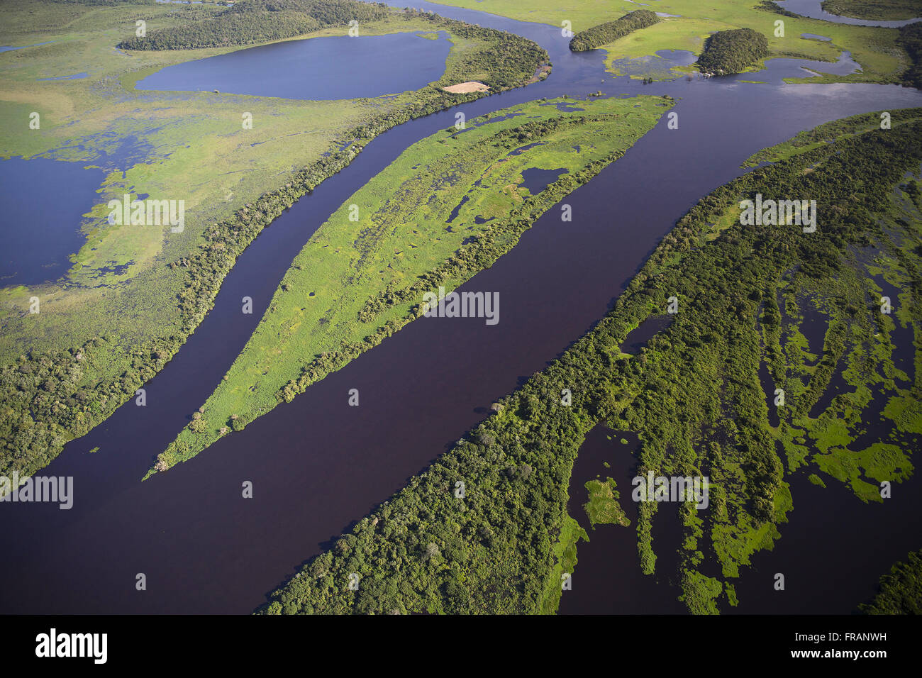 Aerial view of the Pantanal in the course of the Paraguay River Stock ...
