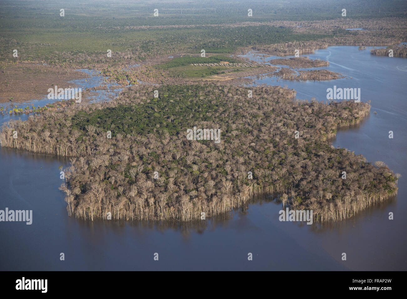 Aerial view of flooded Amazon forest - the flood Hydropower Plant ...