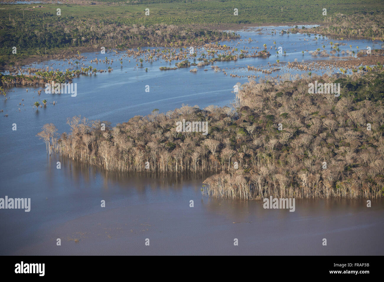Aerial view of flooded Amazon forest - the flood Hydropower Plant ...