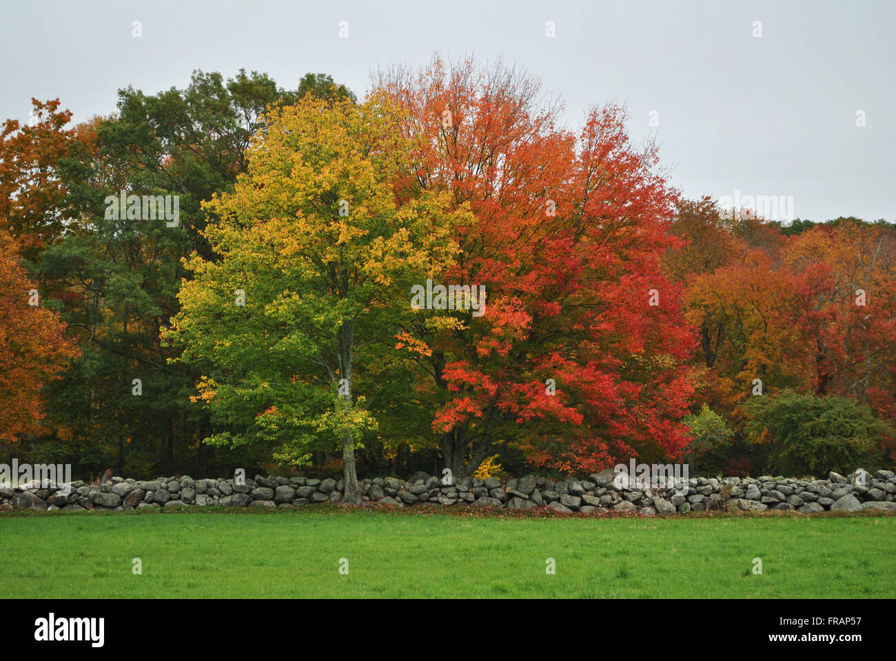 Fall autumn trees america hi-res stock photography and images - Alamy