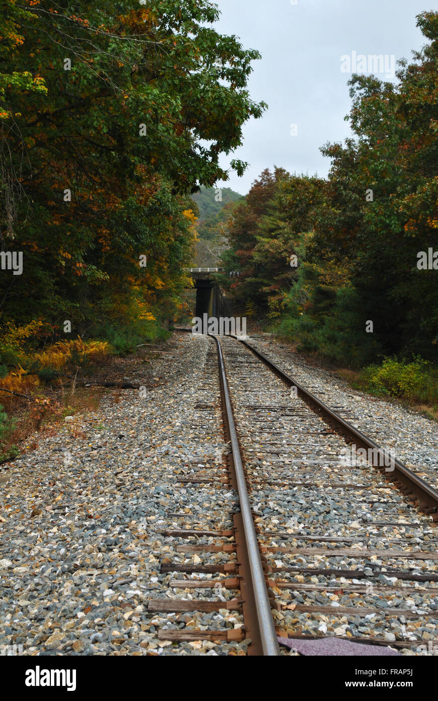 Autumn Train Tracks Stock Photo - Alamy