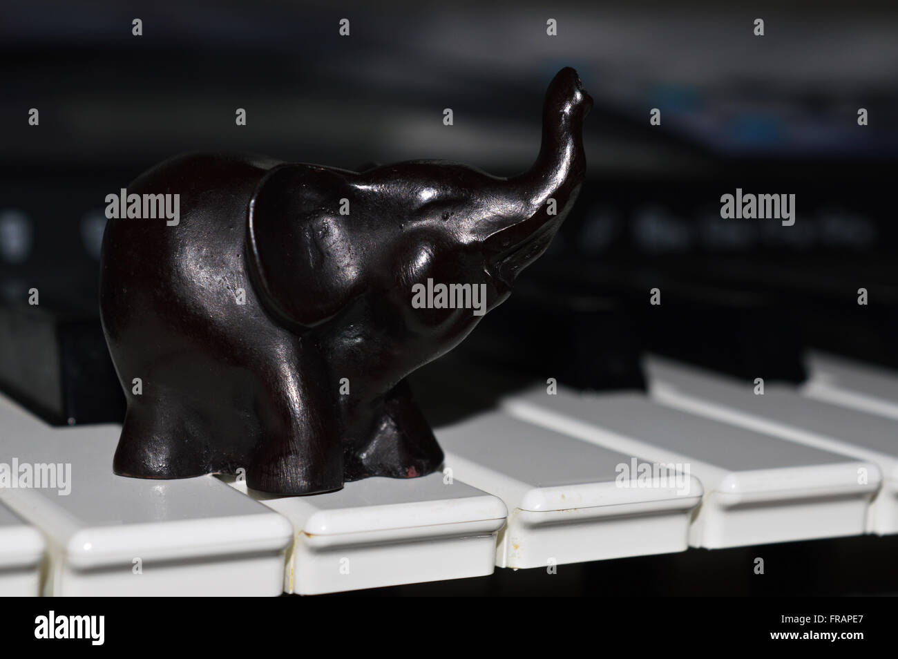 Elephant on Keyboard Stock Photo - Alamy
