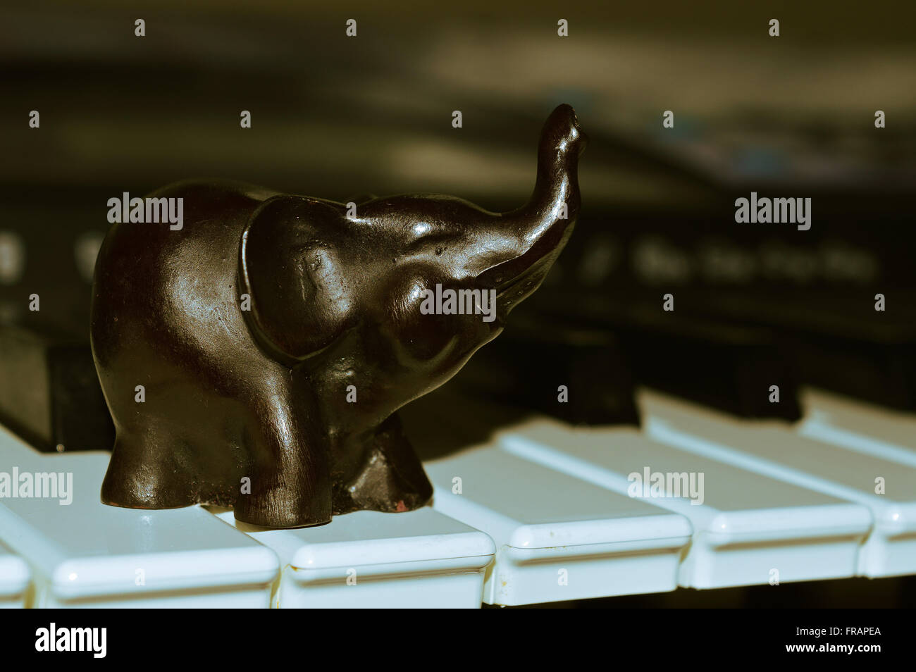 Elephant on Keyboard Stock Photo - Alamy