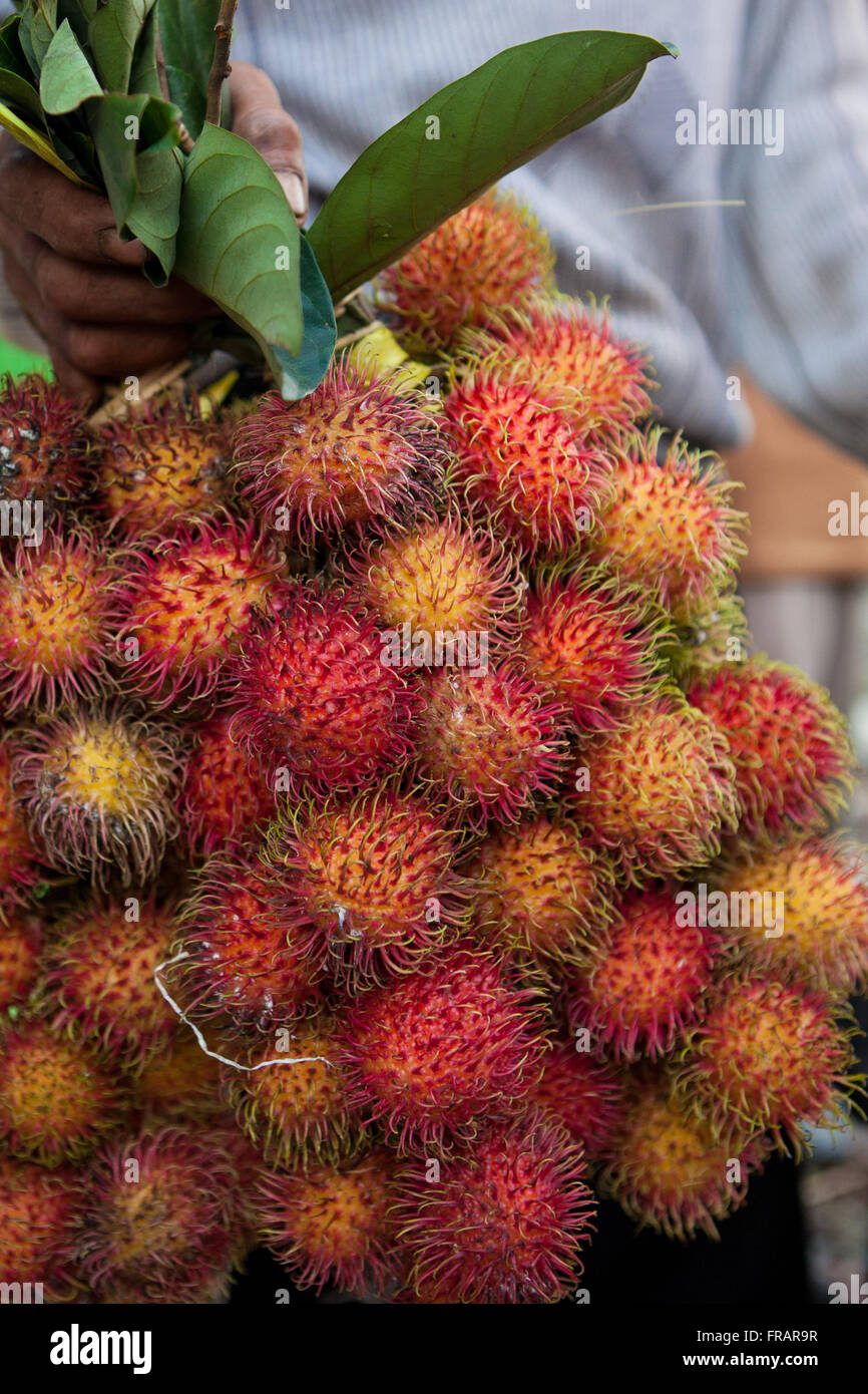 Rambutan being sold at the road side, Indonesia Stock Photo - Alamy